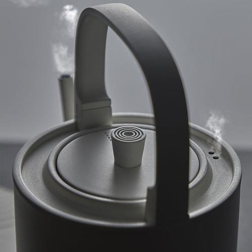 Thermal Insulation Electric Water Tea Kettle 1000W Stainless Steel ...