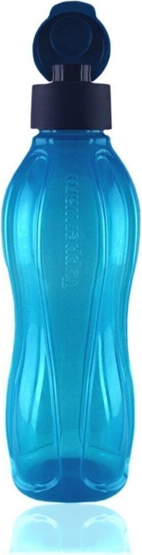 Tupperware Blue Bottle 750 ml - Hepsiburada Global