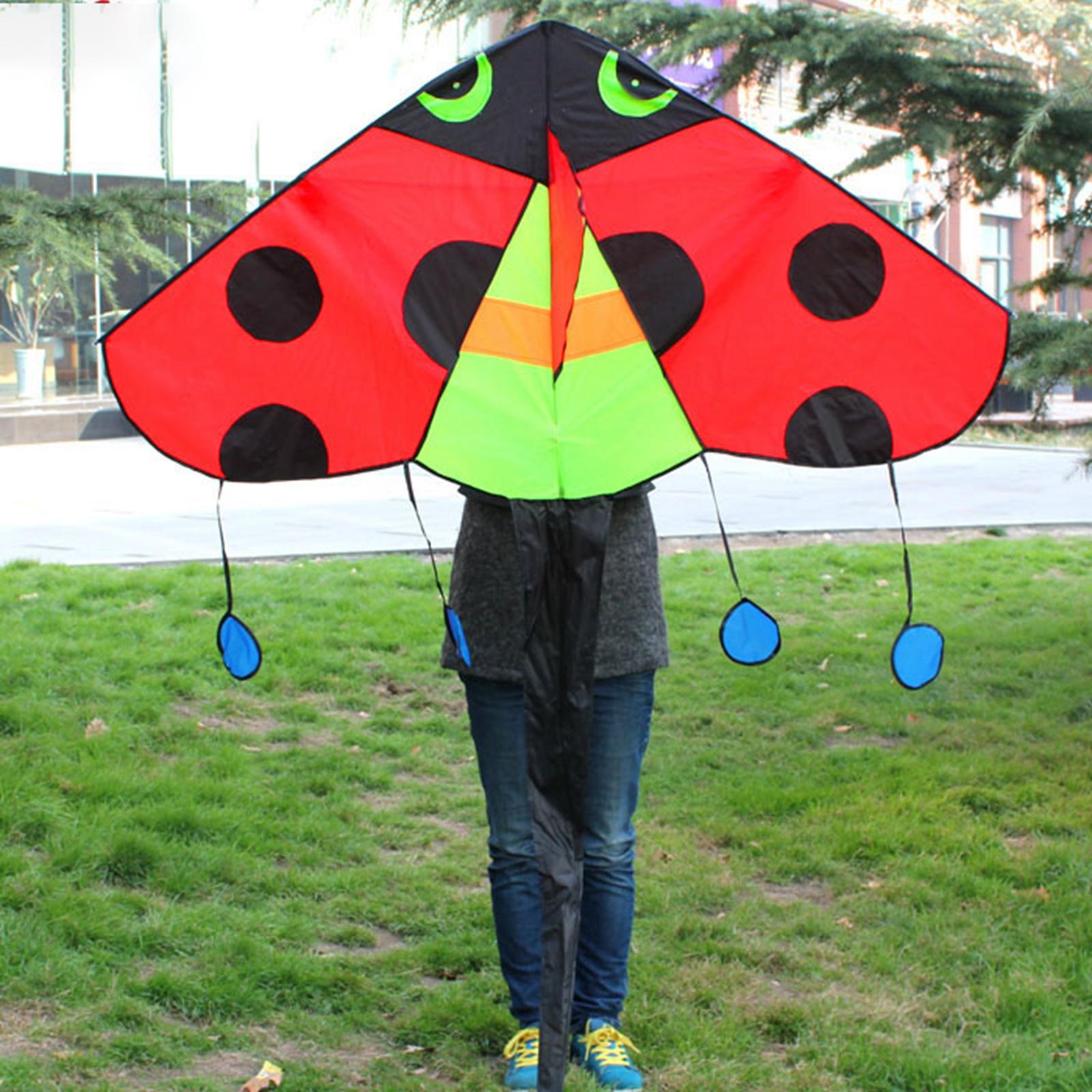 Giant Fly Kite Huge Vivid Delta Kite for Beginner Teenagers Games ...