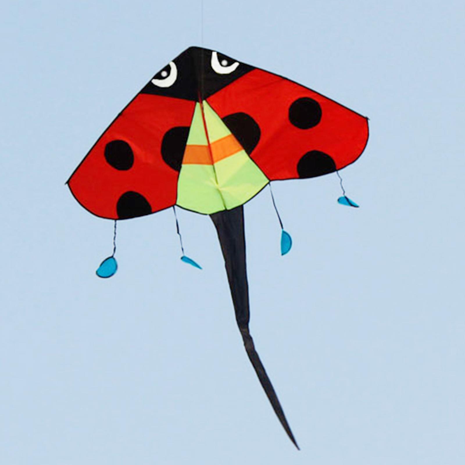 Giant Fly Kite Huge Vivid Delta Kite for Beginner Teenagers Games ...