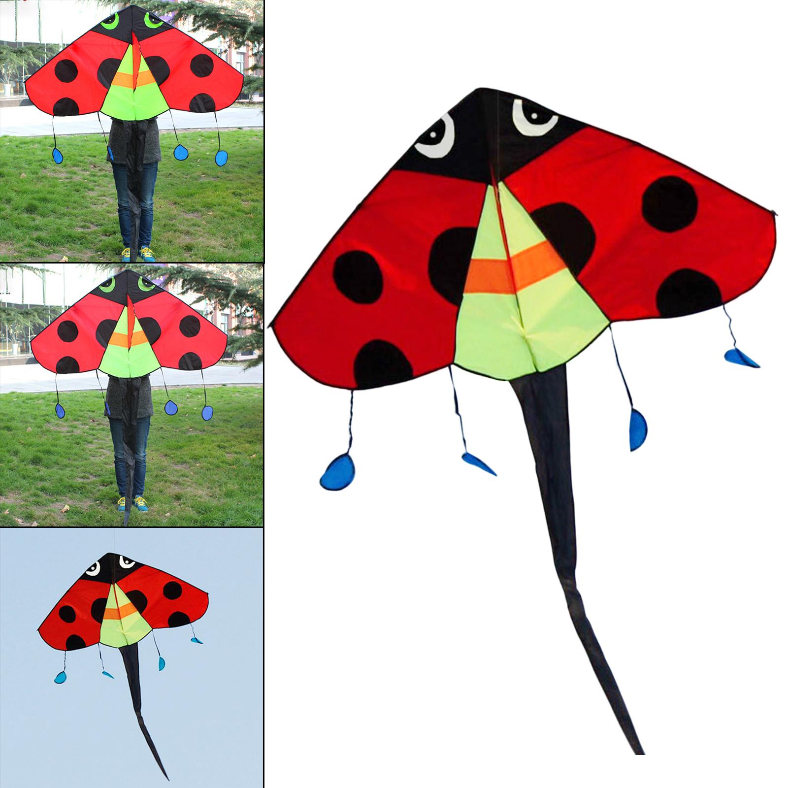 Giant Fly Kite Huge Vivid Delta Kite for Beginner Teenagers Games ...