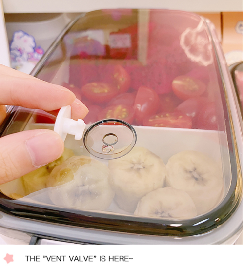 Japanese Lunch Box Container Double Layer Lunch Box Container With ...