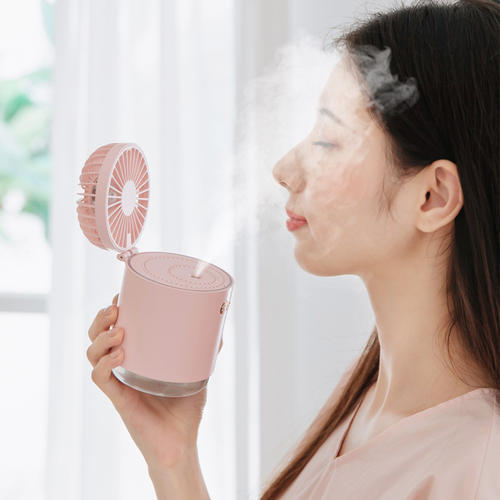 Home Office Air Humidifier With Fan USB Ultrasonic Purifying Humidifier ...
