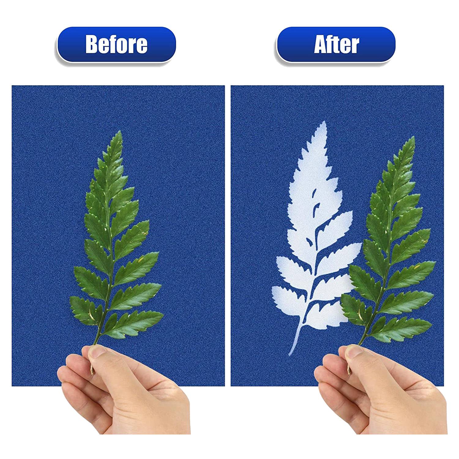 Cyanotype Paper, 30 Pcs A5 Sun Print Paper Kit, High Sensitivity Sun ...