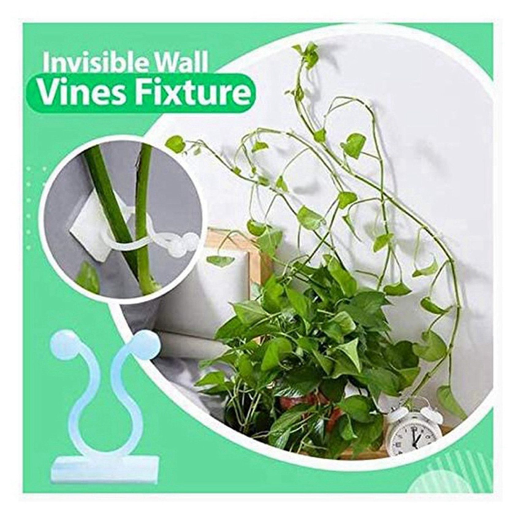 100PCS Invisible Wall Vines Fixture , Plant Climbing Wall Fixture Clips ...
