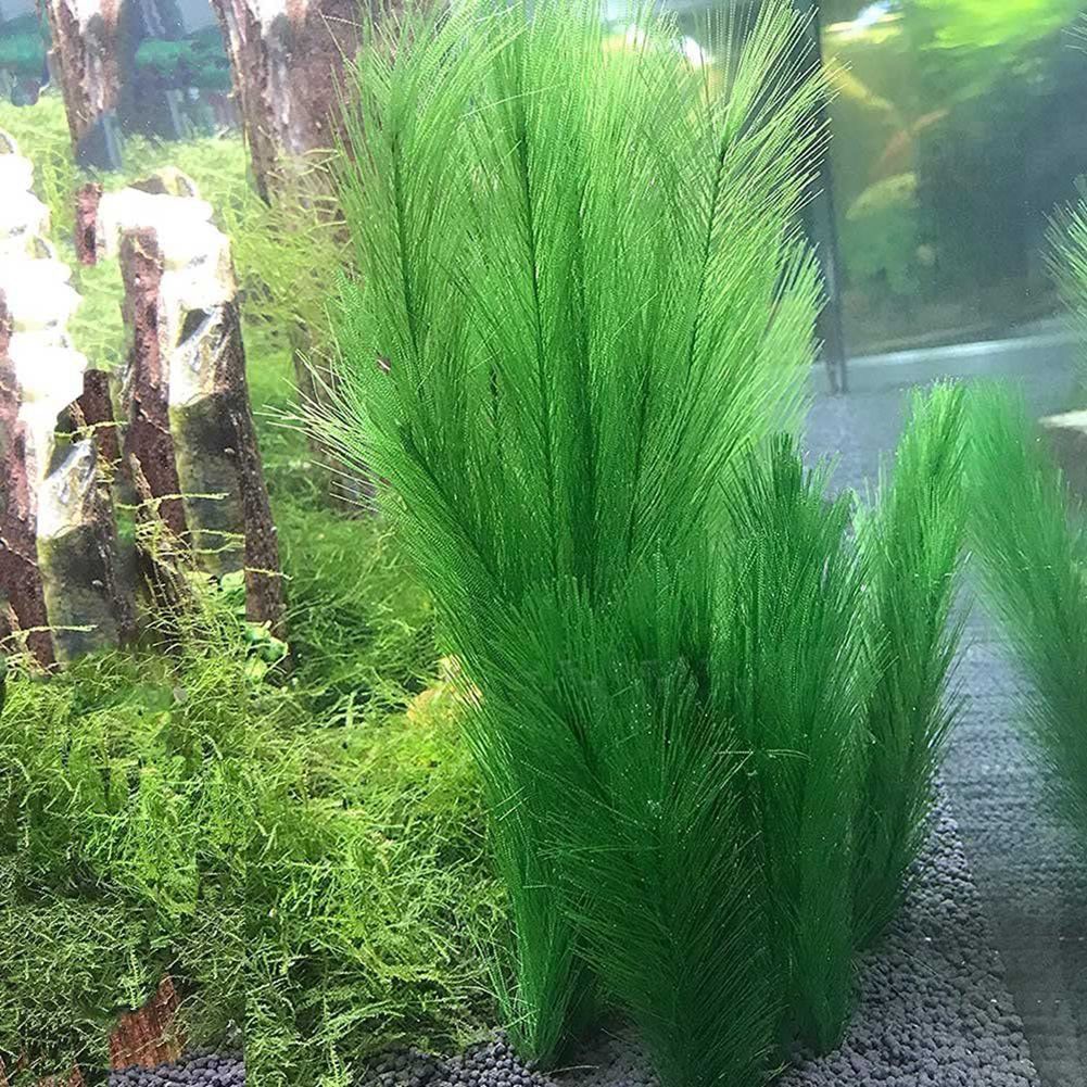 Aquarium Decorations Fish Tank Artificial Green Water Plants Made of ...