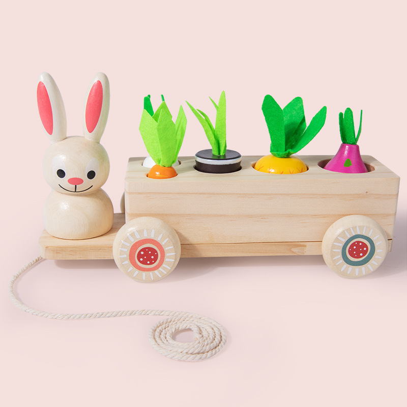 Rab pull cart fruit matching creative educational early education ...