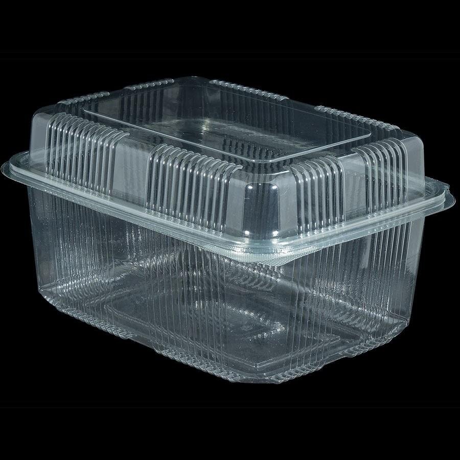 Petsa Disposable Plastic Lockable Transparent Food Storage Container ...