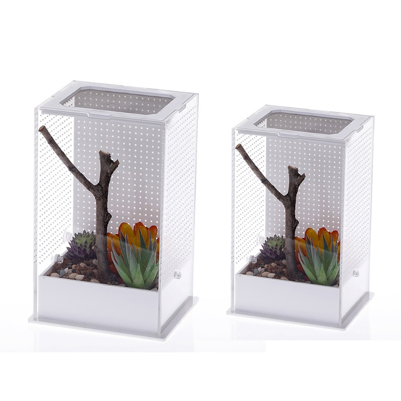Insect Breeding Case Reptile Transparent ding Box Good Ventilation ...